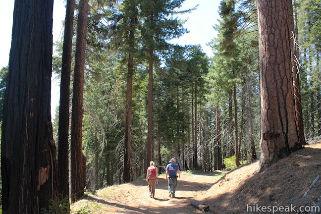 North Grove Trail | Kings Canyon | Hikespeak.com