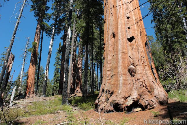 North Grove Trail | Kings Canyon | Hikespeak.com