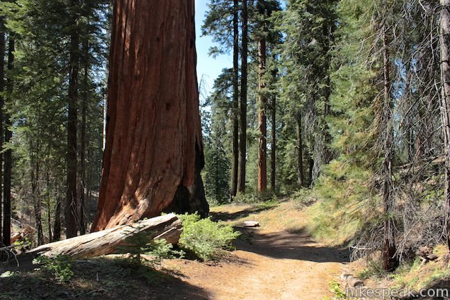 North Grove Trail | Kings Canyon | Hikespeak.com