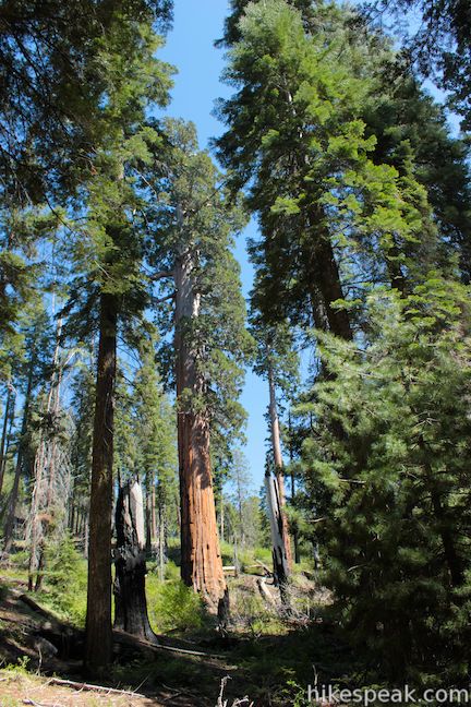 North Grove Trail | Kings Canyon | Hikespeak.com