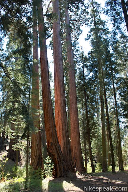 North Grove Trail | Kings Canyon | Hikespeak.com