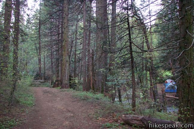 Bull Buck Tree Trail | Nelder Grove | Sierra NF | Hikespeak.com