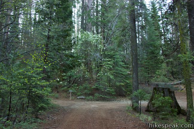 Bull Buck Tree Trail | Nelder Grove | Sierra NF | Hikespeak.com