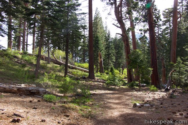 Moraine Trail to Fallen Leaf Lake in Lake Tahoe Basin National Forest Lands