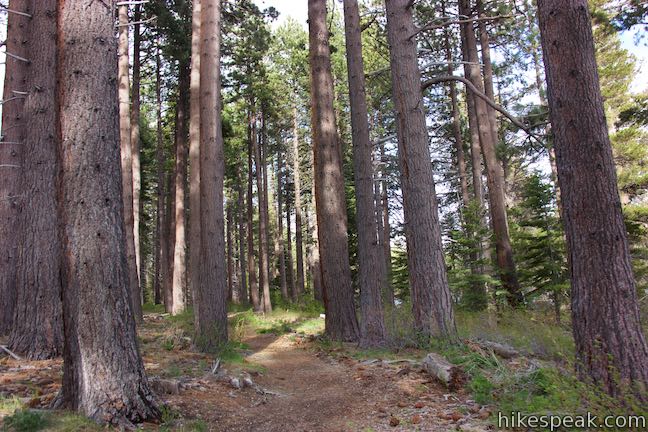 Moraine Trail & Fallen Leaf Lake | Lake Tahoe | Hikespeak.com