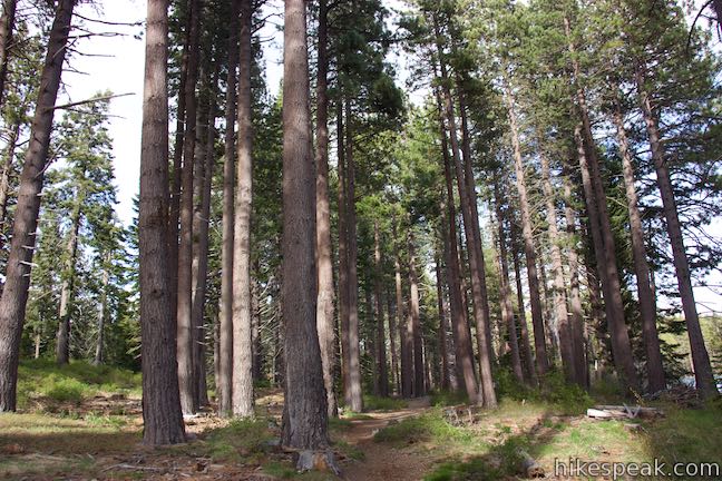 Moraine Trail & Fallen Leaf Lake | Lake Tahoe | Hikespeak.com