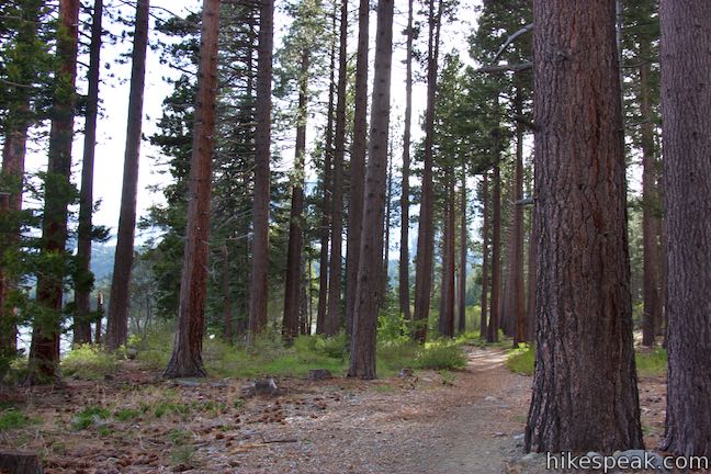 Moraine Trail & Fallen Leaf Lake | Lake Tahoe | Hikespeak.com