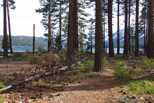 Moraine Trail to Fallen Leaf Lake in Lake Tahoe Basin National Forest Lands