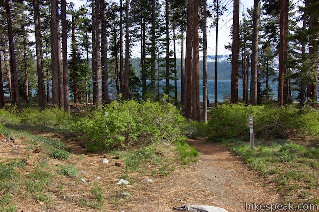 Moraine Trail to Fallen Leaf Lake in Lake Tahoe Basin National Forest Lands