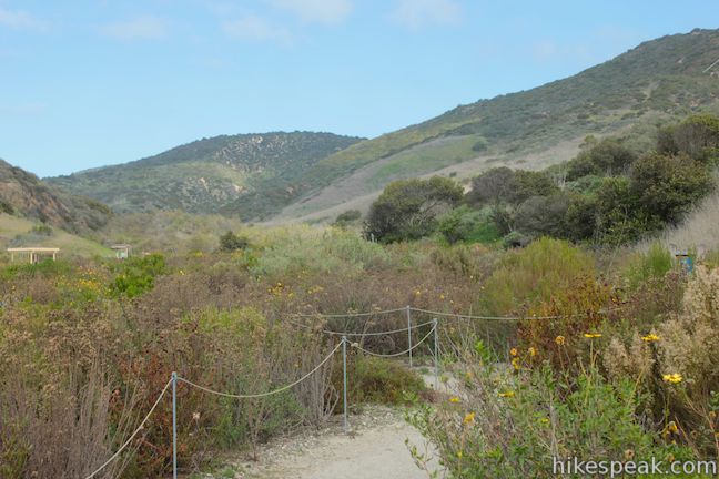 Moro Beach | Crystal Cove State Park | Hikespeak.com