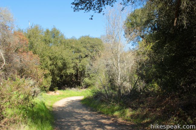 Geology Discovery Trail (Backcountry Loop) in Crystal Cove State Park