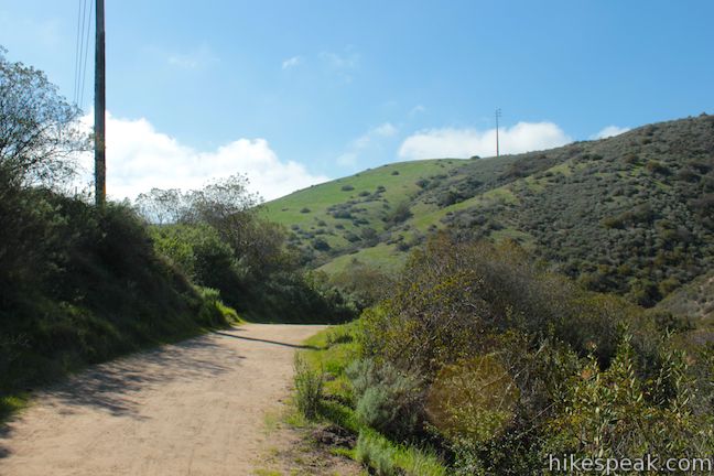 Geology Discovery Trail (Backcountry Loop) in Crystal Cove State Park
