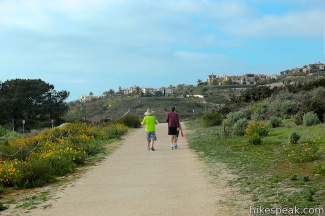 Geology Discovery Trail (Backcountry Loop) in Crystal Cove State Park