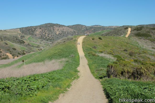 Backcountry Loop | Crystal Cove State Park | Hikespeak.com