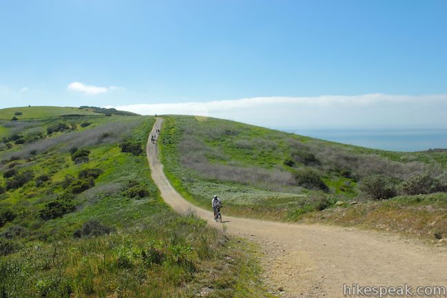 Geology Discovery Trail (Backcountry Loop) in Crystal Cove State Park