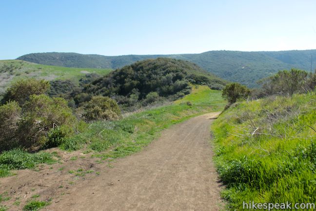 Geology Discovery Trail (Backcountry Loop) in Crystal Cove State Park