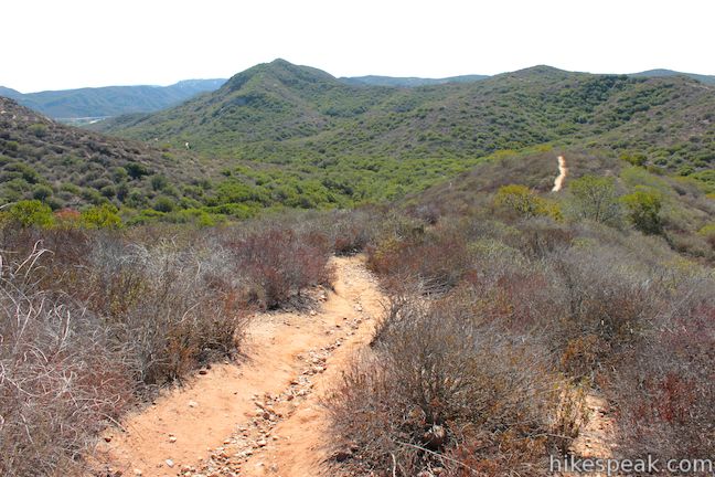 Little Sycamore Canyon Trail | Laguna Coast Wilderness Park | Hikespeak.com