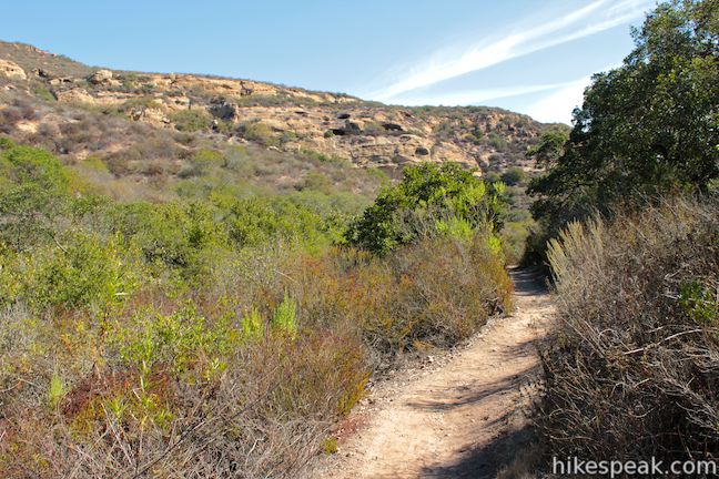 Little Sycamore Canyon Trail | Laguna Coast Wilderness Park | Hikespeak.com