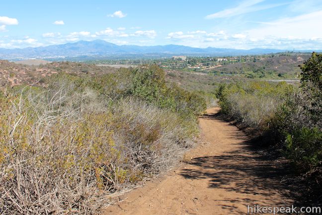 Little Sycamore Canyon Trail | Laguna Coast Wilderness Park | Hikespeak.com