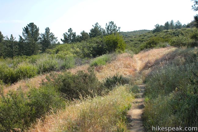 El Cariso Nature Trail in the Santa Ana Mountains