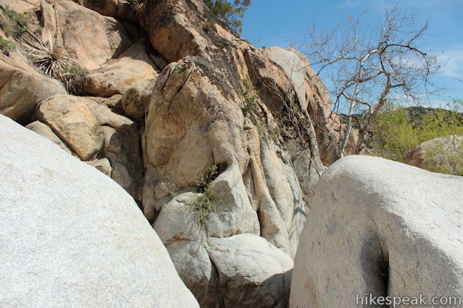 Indian Flats Trail | Cleveland National Forest | Hikespeak.com