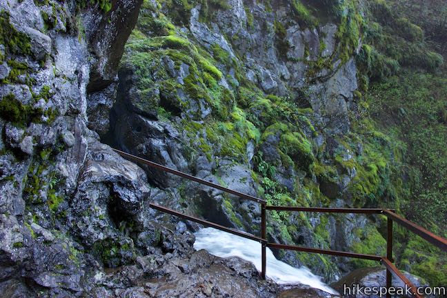 Hamilton Mountain Loop in Beacon Rock State Park