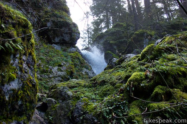Hamilton Mountain Loop in Beacon Rock State Park