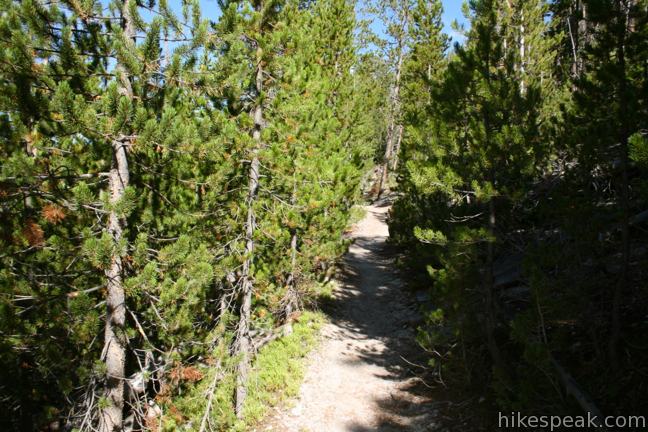 North Rim Trail on the Grand Canyon of the Yellowstone River in ...