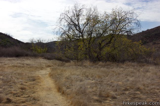 Corbin Canyon Park in the Santa Monica Mountains