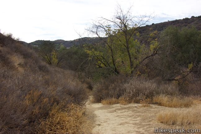Corbin Canyon Park in the Santa Monica Mountains