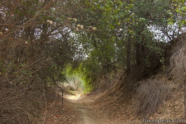 Corbin Canyon | Los Angeles | Hikespeak.com