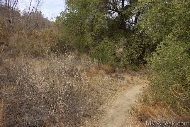Corbin Canyon Park in the Santa Monica Mountains