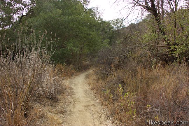 Corbin Canyon Park in the Santa Monica Mountains