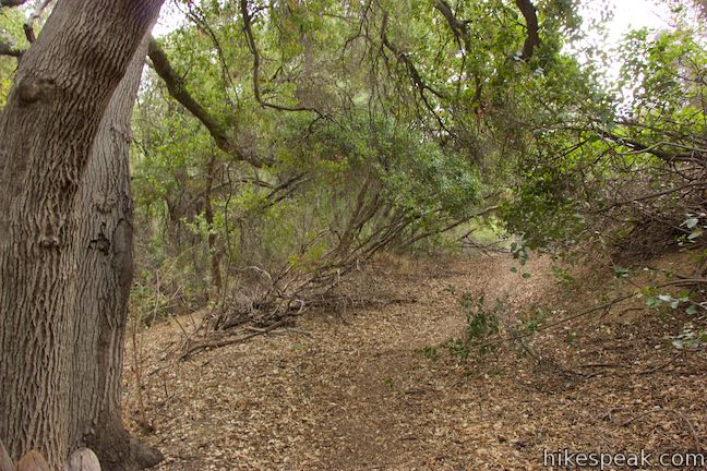 Corbin Canyon Park in the Santa Monica Mountains