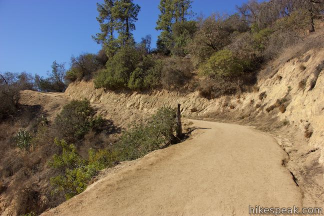 Griffith Observatory via East Observatory Trail in Griffith Park