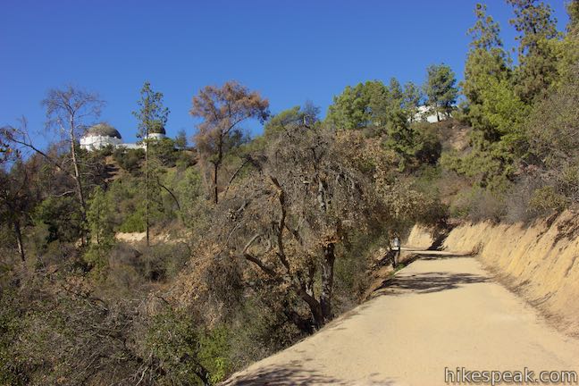 Griffith Observatory via East Observatory Trail in Griffith Park