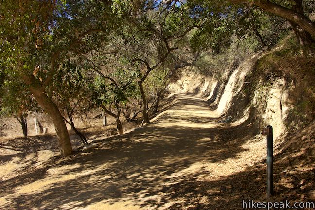 Griffith Observatory via East Observatory Trail in Griffith Park