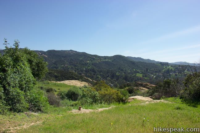 Viewridge Trail | Los Angeles | Hikespeak.com