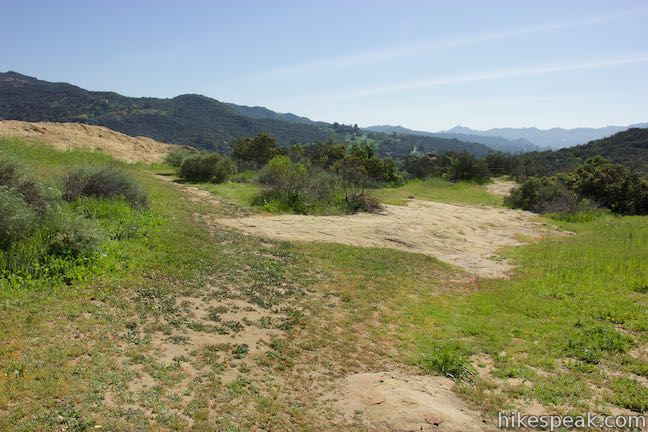 Viewridge Trail | Los Angeles | Hikespeak.com