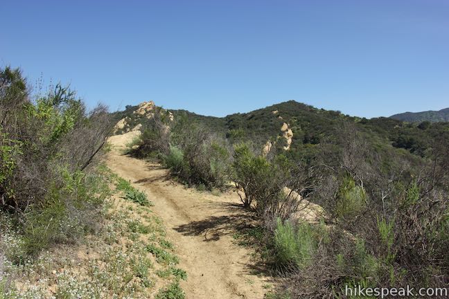 Viewridge Trail | Los Angeles | Hikespeak.com