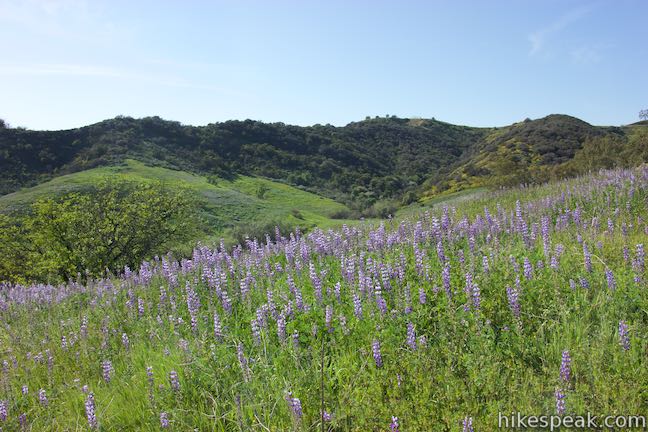Summit Valley Edmund D. Edelman Park in the Santa Monica Mountains