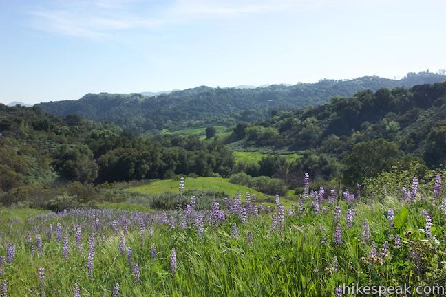 Summit Valley Edmund D. Edelman Park | Los Angeles | Hikespeak.com
